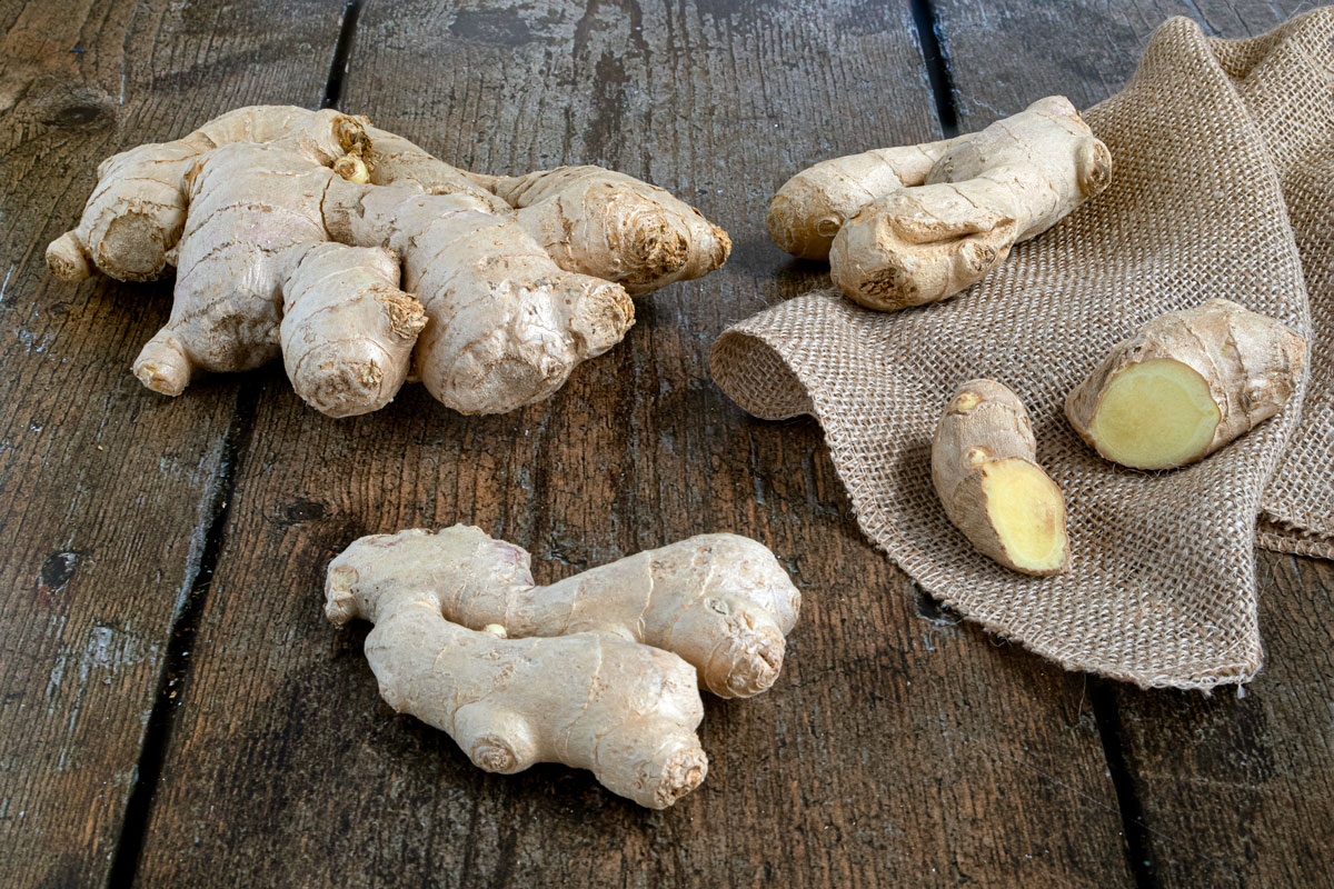 Ingwer lagern | So bewahrst du die Knolle richtig auf