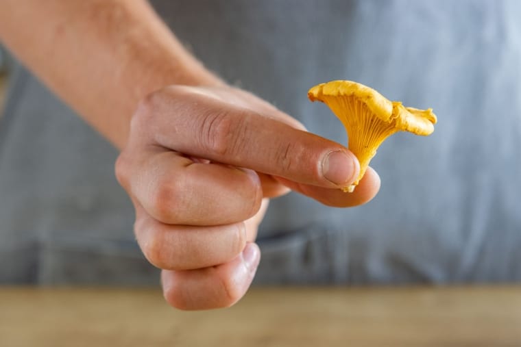 Pfifferlinge richtig zubereiten - So gelingt's!