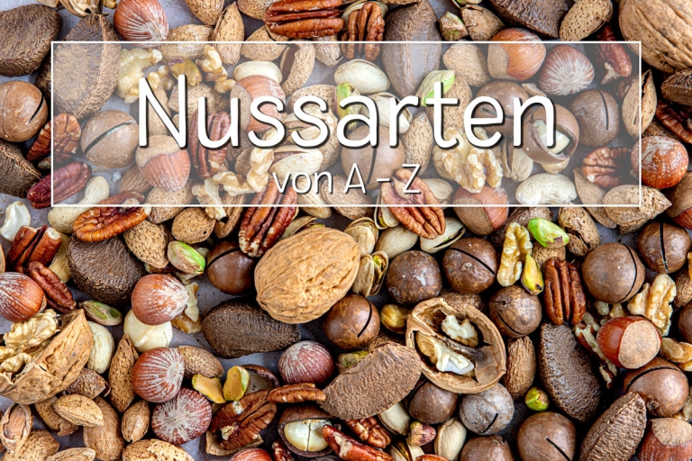 12 Nussarten von A-Z: Welche Sorten Nüsse gibt es?