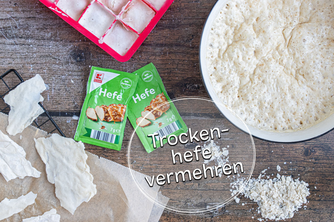 Trockenhefe einfach selber vermehren: Anleitung