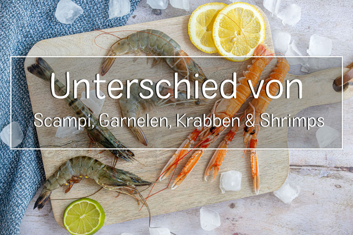 Verwunderlich Unterschied Zwischen Scampi Und Garnelen Fotos