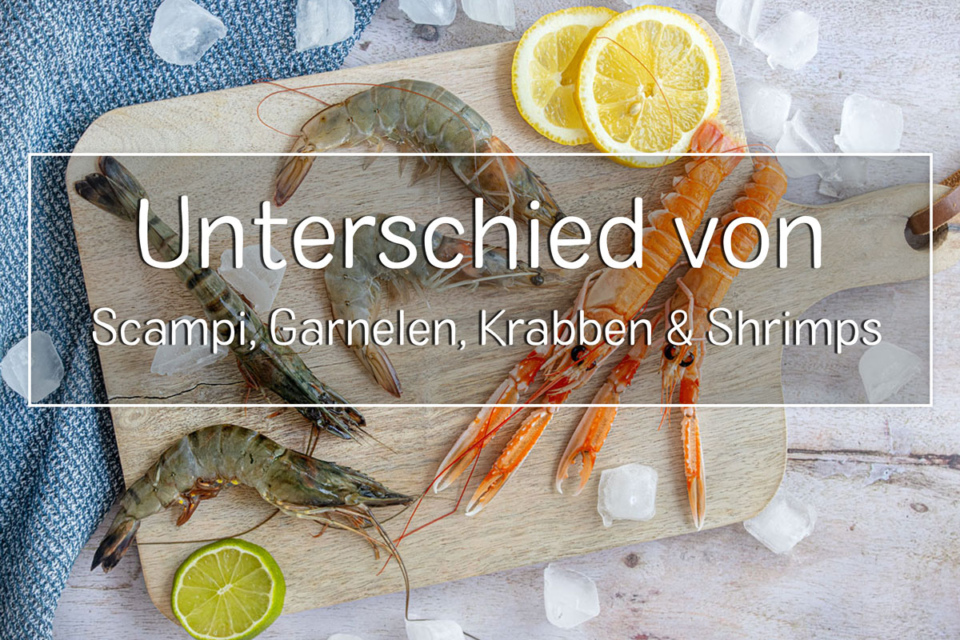 Schöne Unterschied Garnele Und Scampi Bild