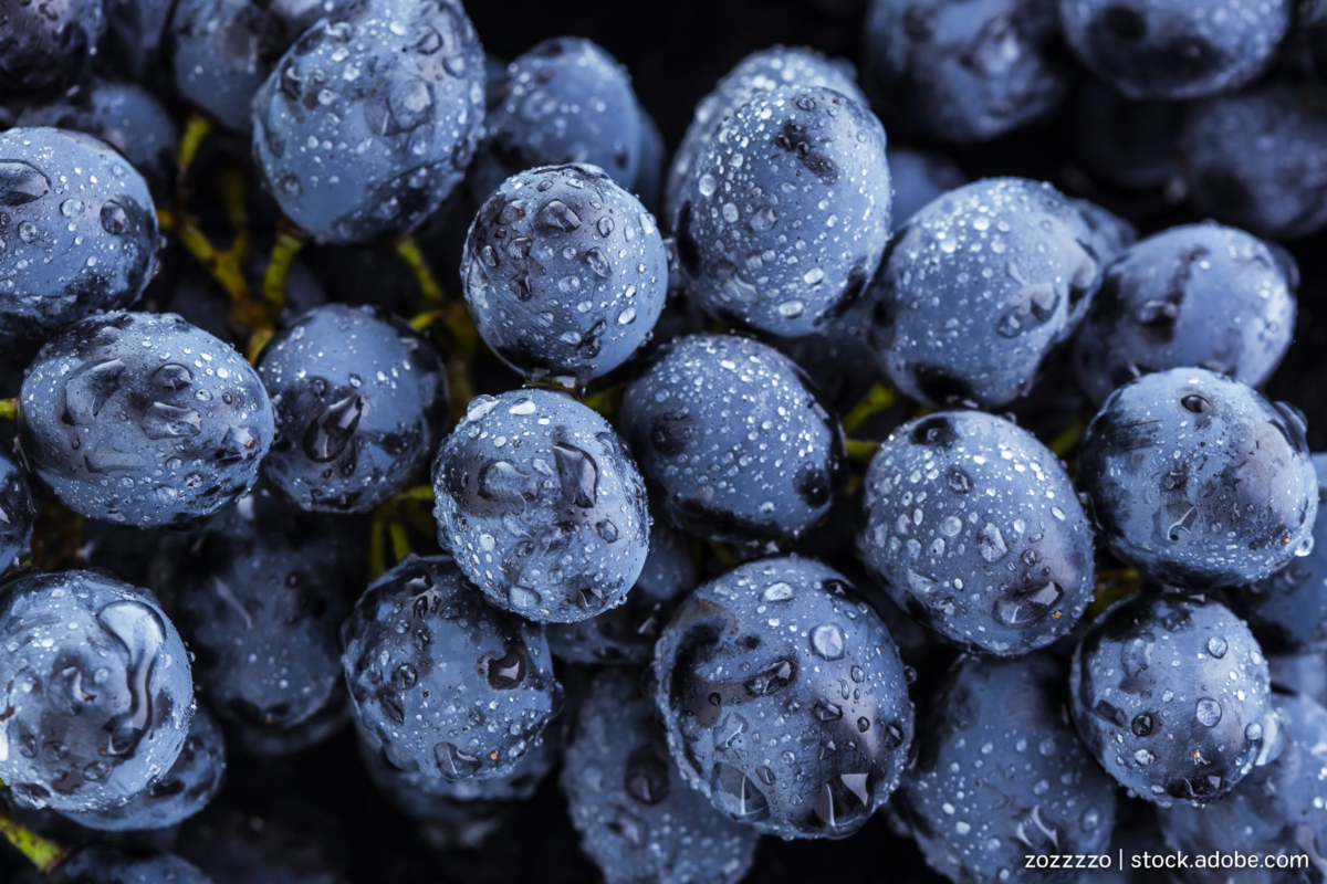 21 blaue Früchte: Obst und Gemüse - eat.de
