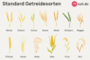 Alle Getreidearten: 15 Getreidesorten erkennen