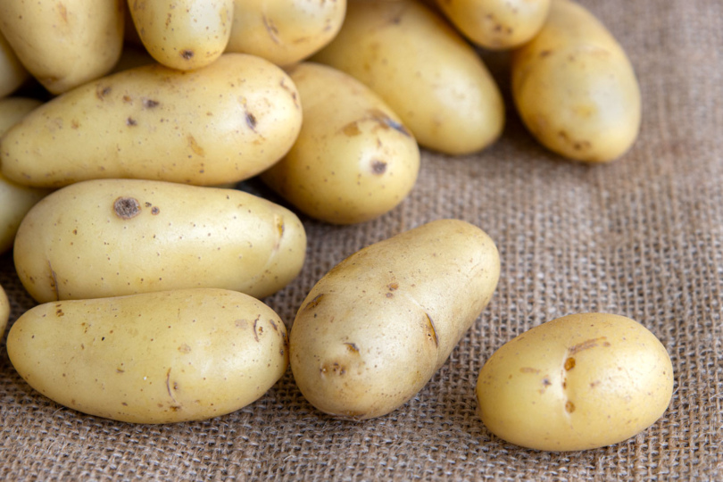 Kartoffeln für Kartoffelsalat: 12 perfekte Sorten