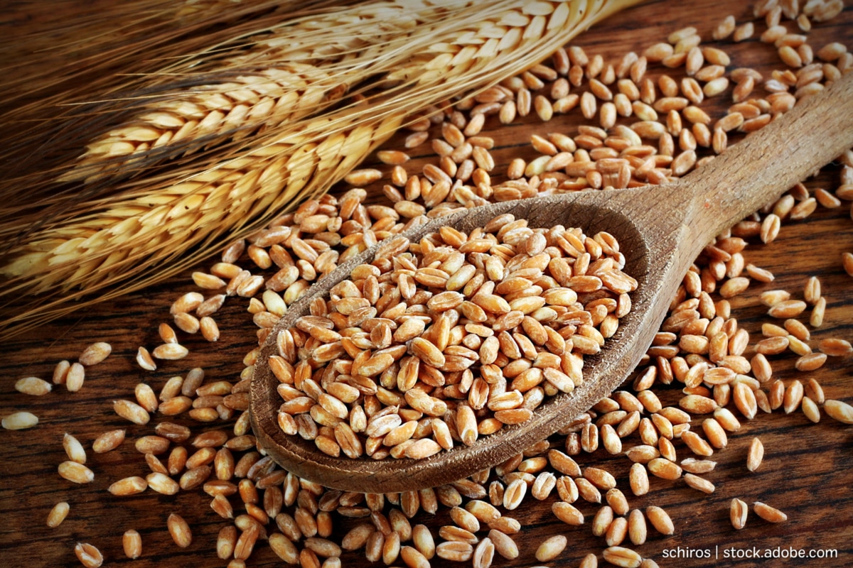 Alle Getreidearten: 15 Getreidesorten erkennen - eat.de