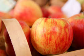 Säuerliche Äpfel: 13 saure Apfelsorten zum Backen - eat.de