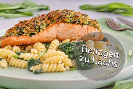 Was Passt Zum Lachs