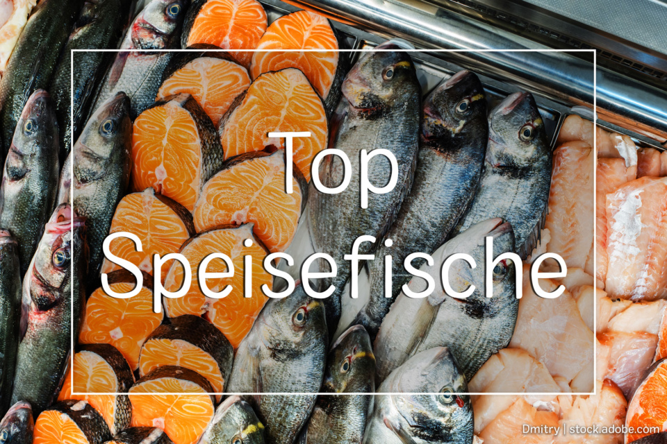 Fisch mit Kräuterkruste