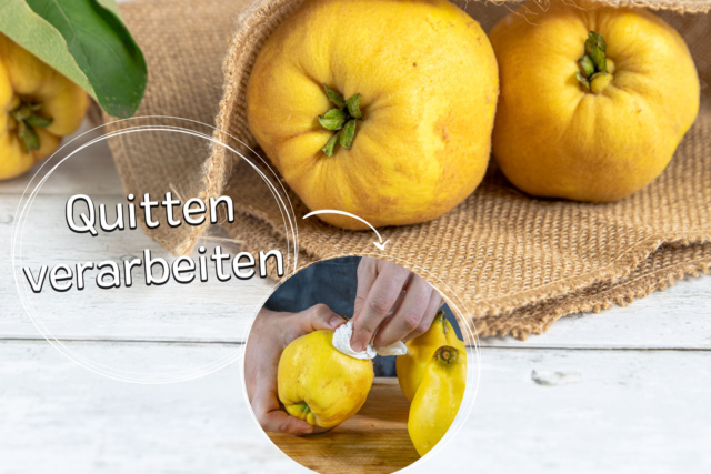 Quitten verarbeiten: So geht's