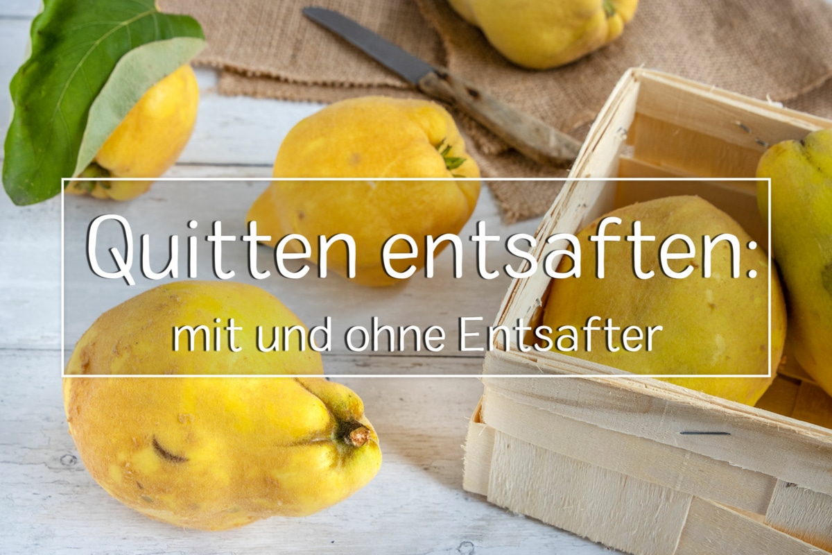 Spannende Entsaften Ohne Entsafter Quitten Ebenbild