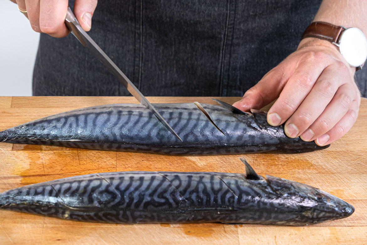 Makrele aus dem Backofen | Rezept
