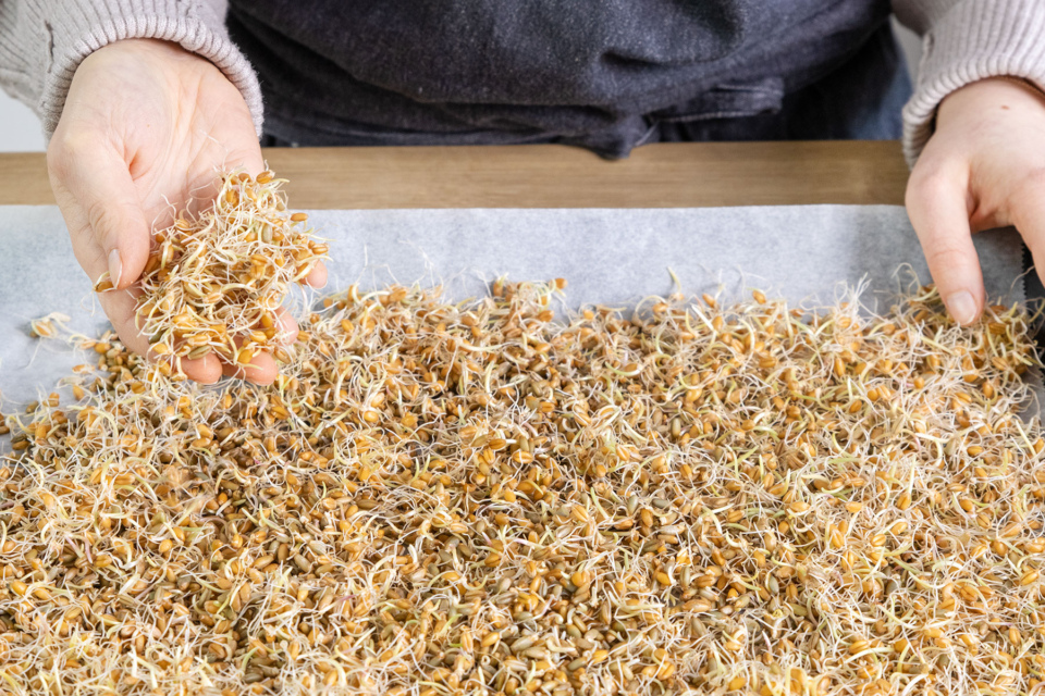 Backmalz selber machen | Grundrezept