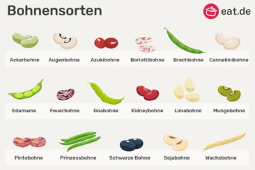 Alle Bohnenarten | 17 Bohnensorten in der Küche