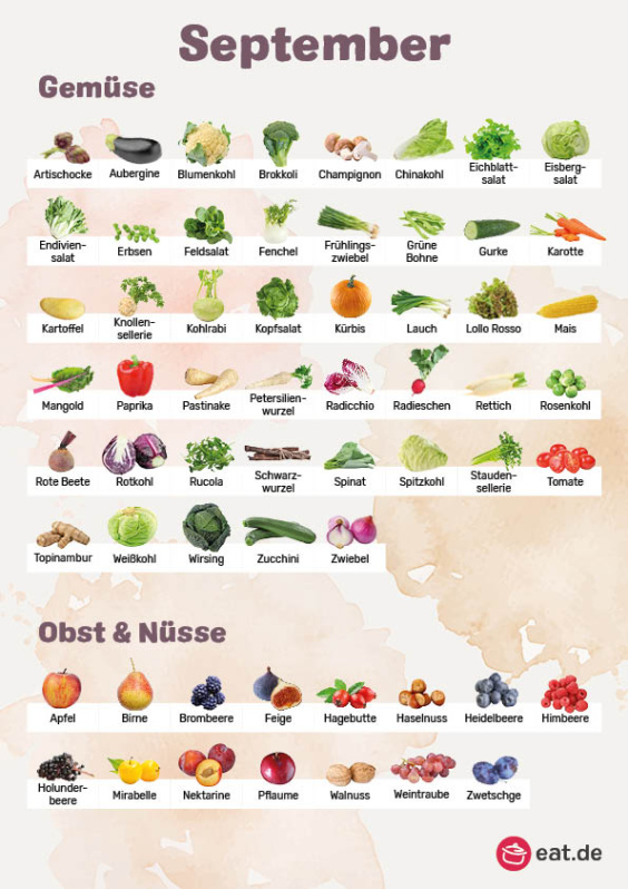 Saisonkalender September für Obst, Gemüse und Obst - eat.de
