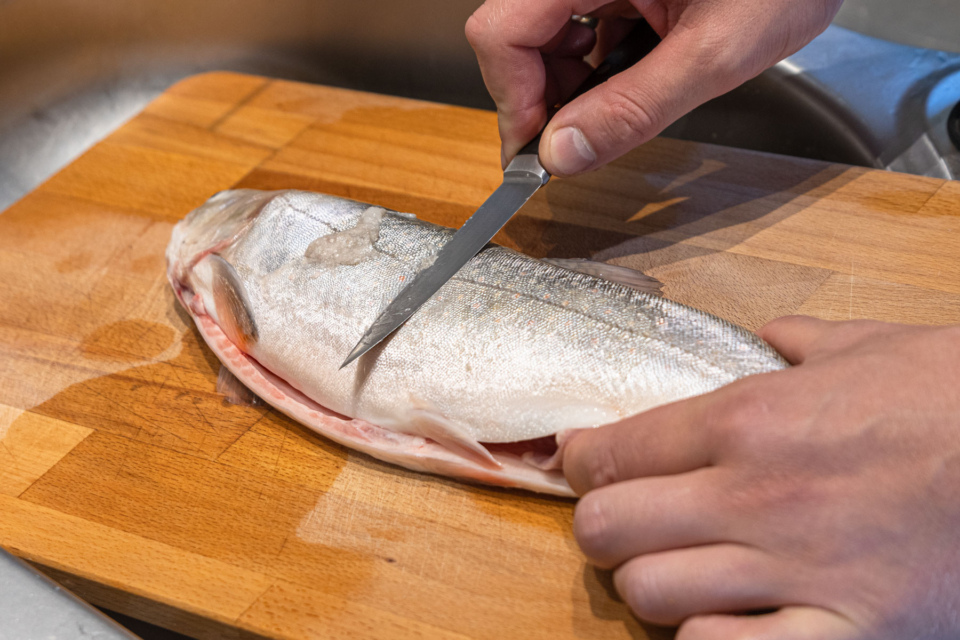 Saibling grillen | Rezept