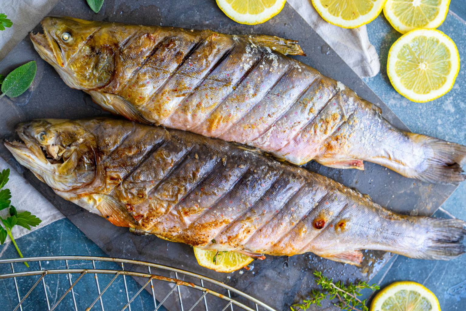 Vielfältige Saibling-Rezepte: Facettenreicher Genuss
