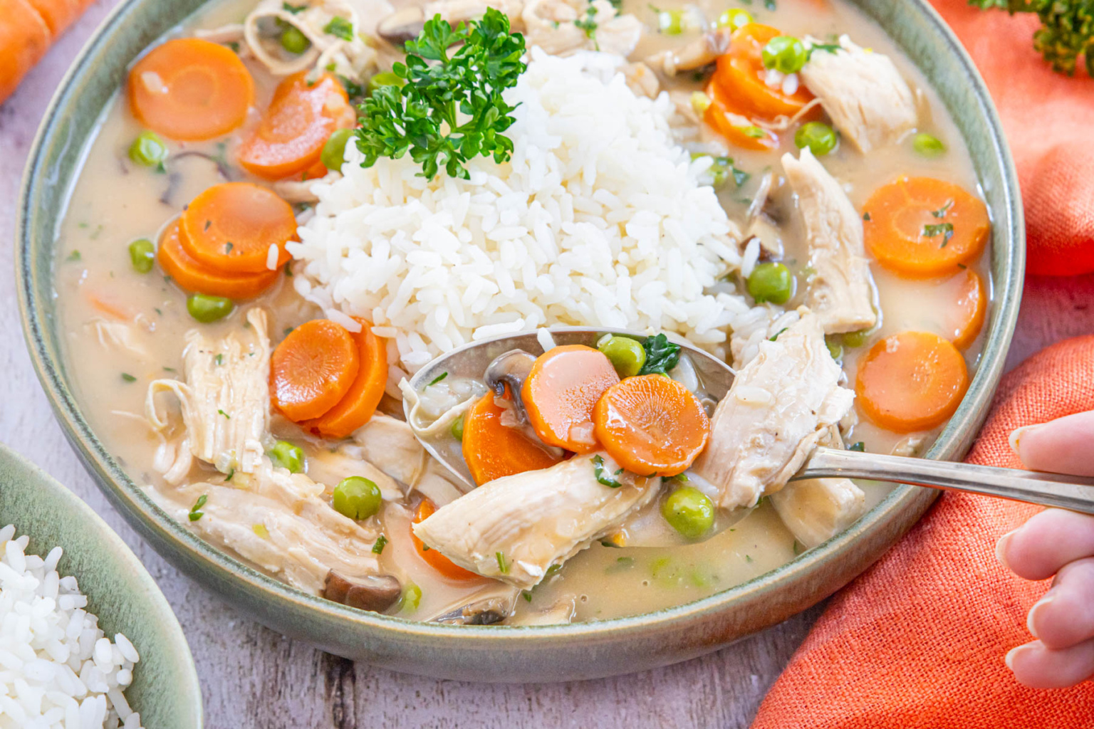 Hühnerfrikassee mit Reis | Rezept - eat.de