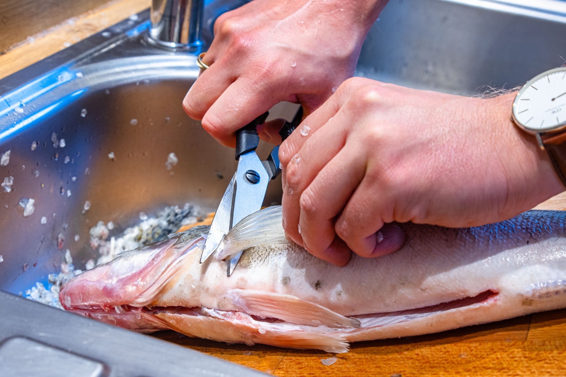 Zander aus dem Ofen | Rezept