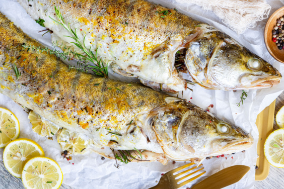 Zander aus dem Ofen | Rezept - eat.de